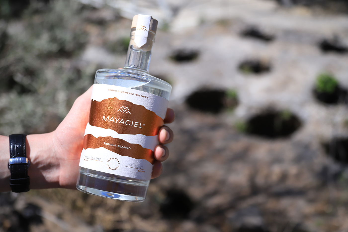 Tequila Facts: Part 3 – Origin & History